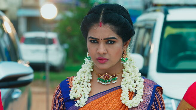 Watch Pachakili - Anbu Asathal Athiradi Season 1 Episode 85 : Diwali ...