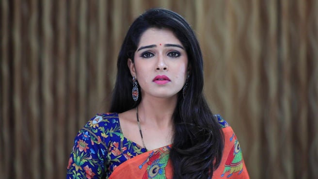 Watch Seetha Vallabha Season 1 Episode 494 : Maithili Is Distraught - Watch Full Episode Online ...