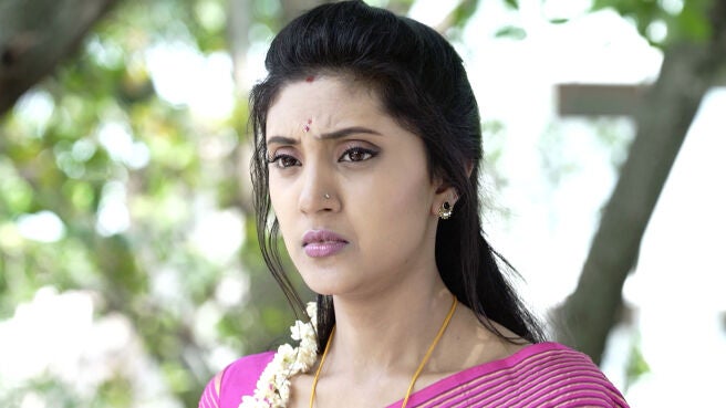 Watch Naane Varuven Season 1 Episode 216 : Ragini's Shocking Confession? - Watch Full Episode ...