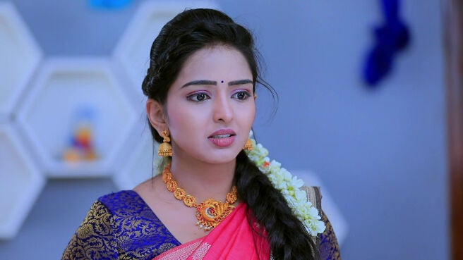 Watch Nannarasi Radhe Season 1 Episode 127 : Inchara Refuses To Comply - Watch Full Episode ...