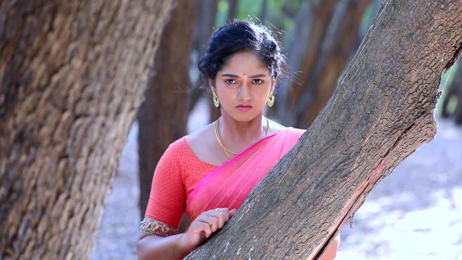 Watch Geetha Season 1 Episode 311 : Geetha Grows Jealous - Watch Full ...