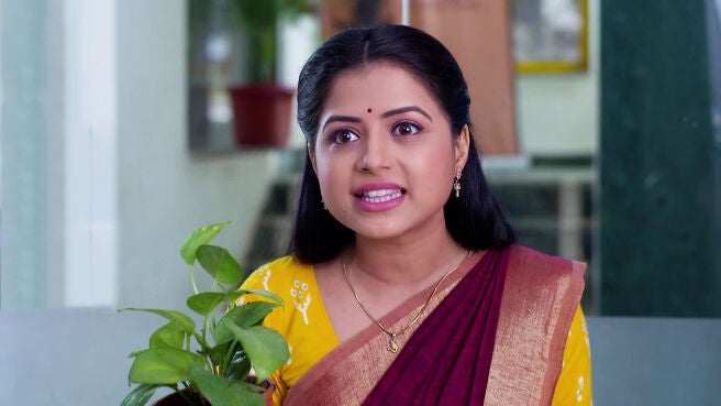 Watch Bhagya Dile Tu Mala Season 1 Episode 50 : Kaveri Rebukes ...