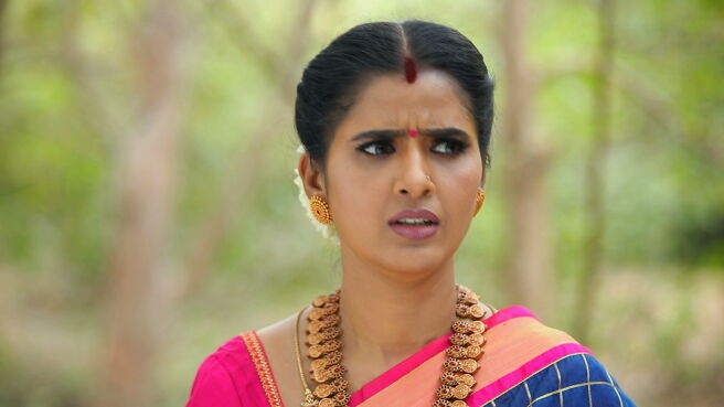 Watch Amman Season 1 Episode 497 : A Snake Follows Saradha - Watch Full ...