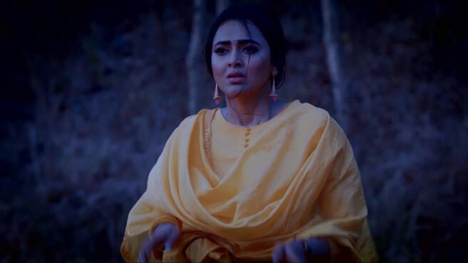 Watch Pratha To The Rescue Video Online(HD) On JioCinema