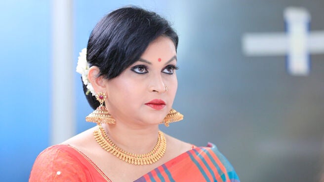 Watch Seetha Vallabha Season 1 Episode 284 : Kalyani's Sinister Plan! - Watch Full Episode ...