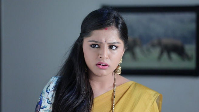 Watch Mithuna Rashi Season 1 Episode 350 : Raashi Gloats Her ...