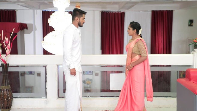 Watch Geetha Season 1 Episode 113 : Geetha-Vijay Make A Pact! - Watch ...