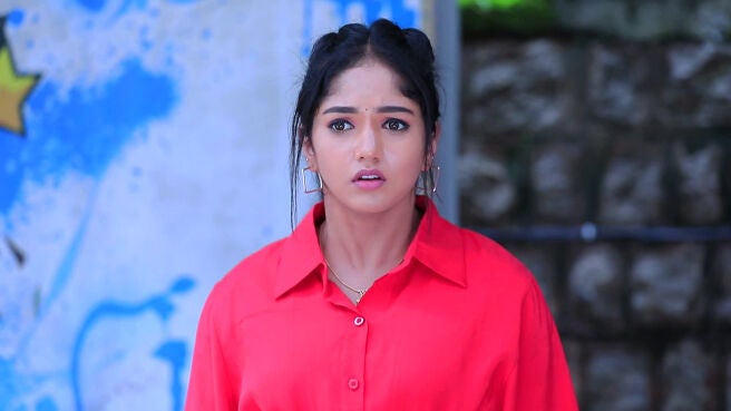 Watch Geetha Season 1 Episode 643 : Geetha Rushes Home - Watch Full ...