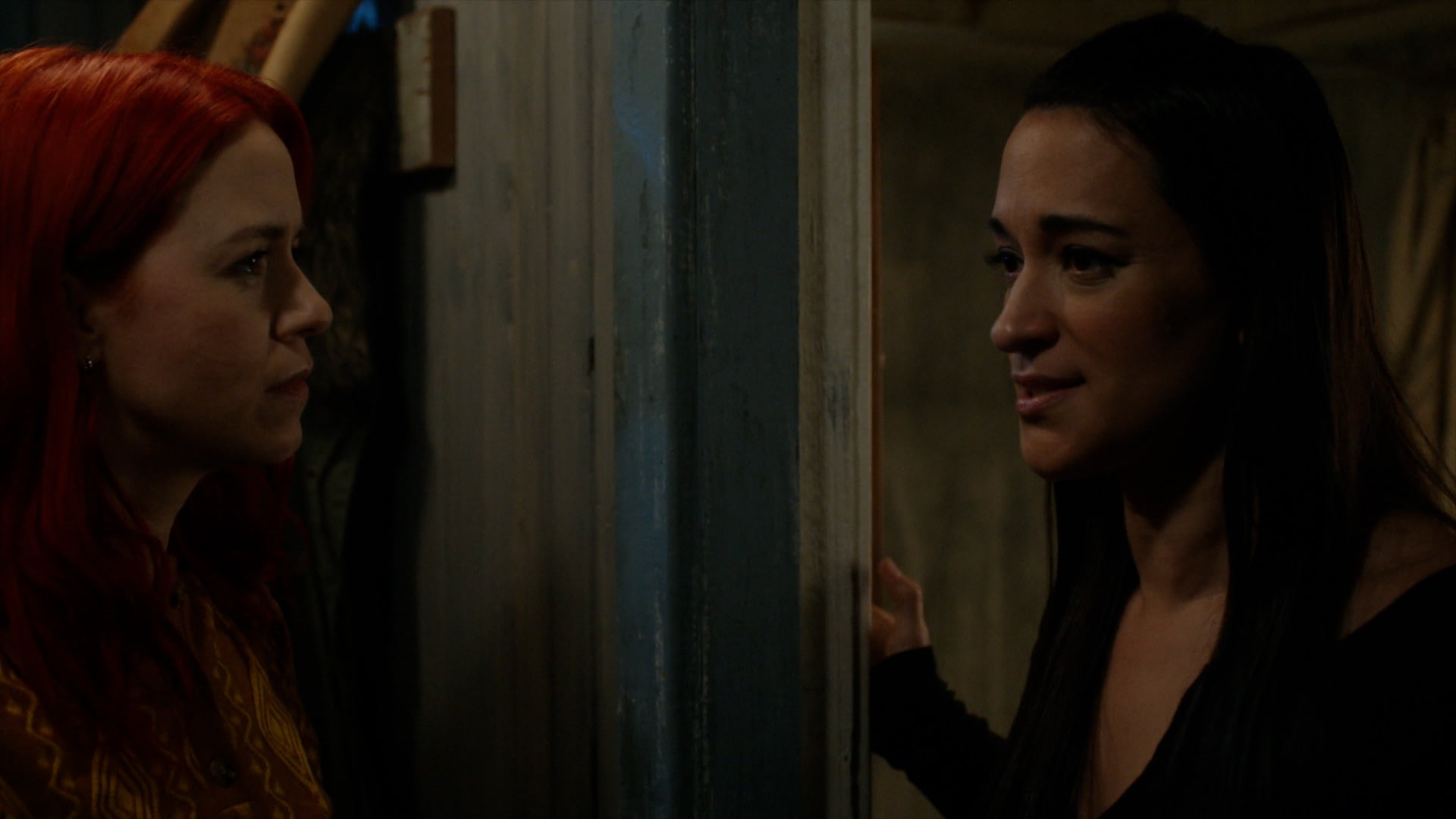 Watch Resident Alien Season 2 Episode 8 : Alien Dinner Party - Watch ...