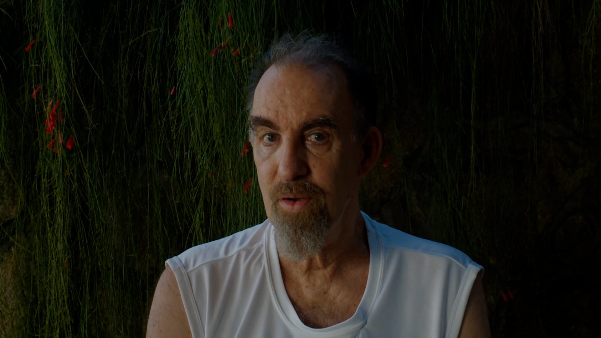 Watch Painting With John Season 2 Episode 3 : The Bugs Are Winning ...