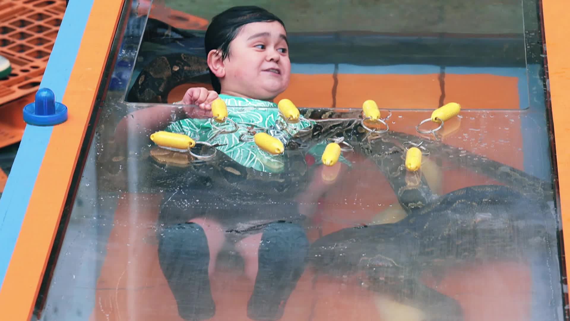 Watch Abdu Enters As A Wildcard Video Online(HD) On JioCinema