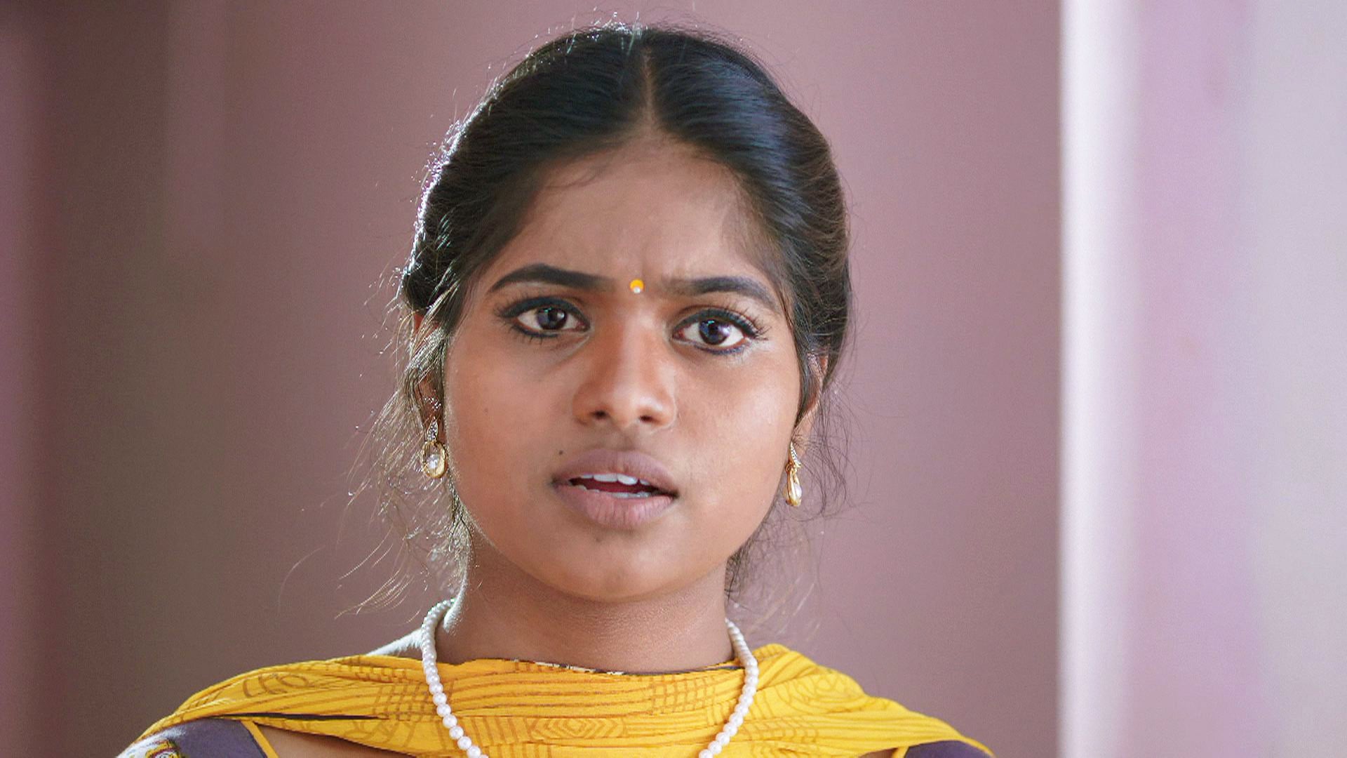 Watch Perazhagi Season 1 Episode 177 : Will Kayal Fall Prey To Nethra's ...