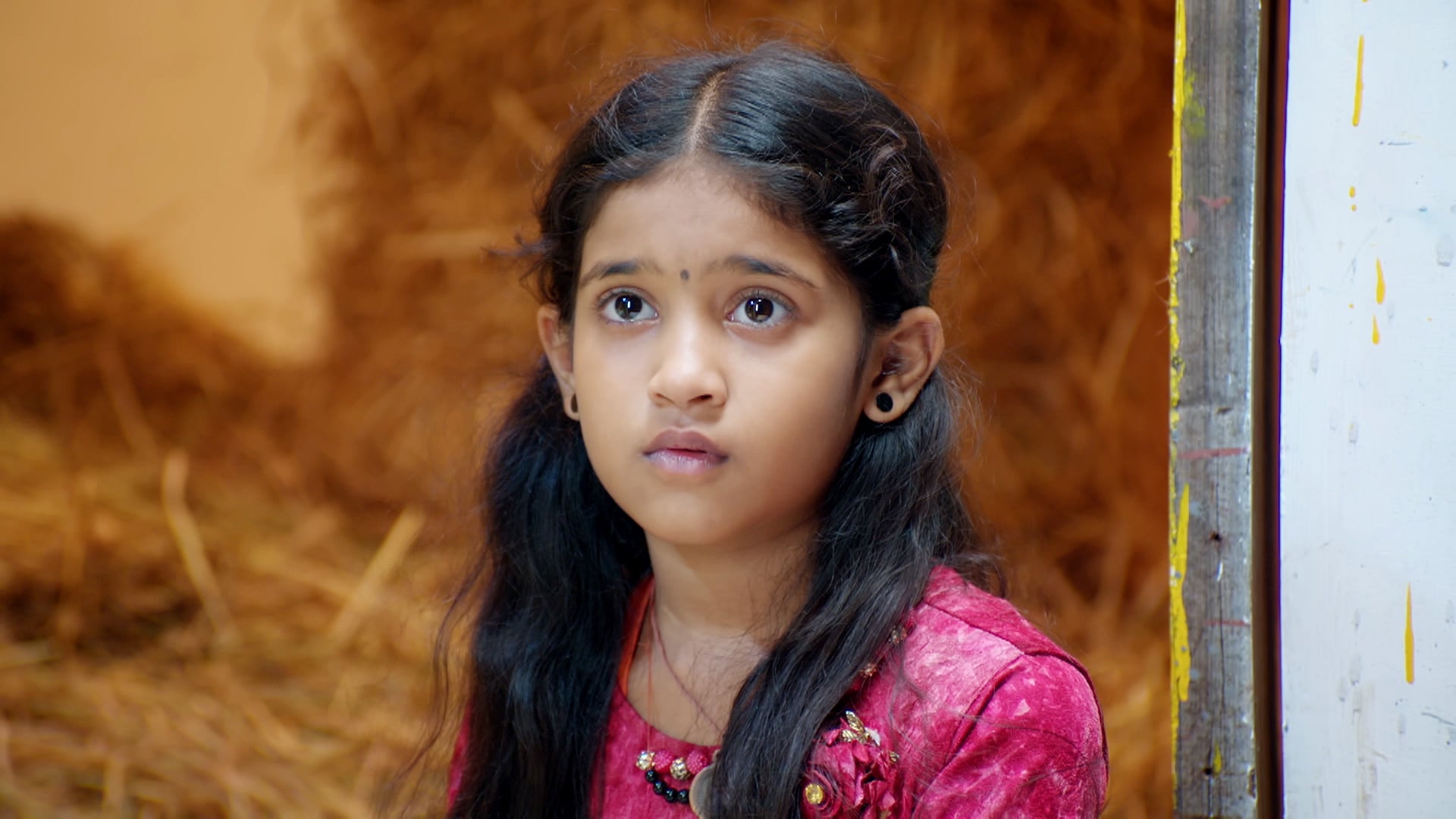 Watch Mynaa Season 1 Episode 41 : Mynaa Gets A Warning - Watch Full ...