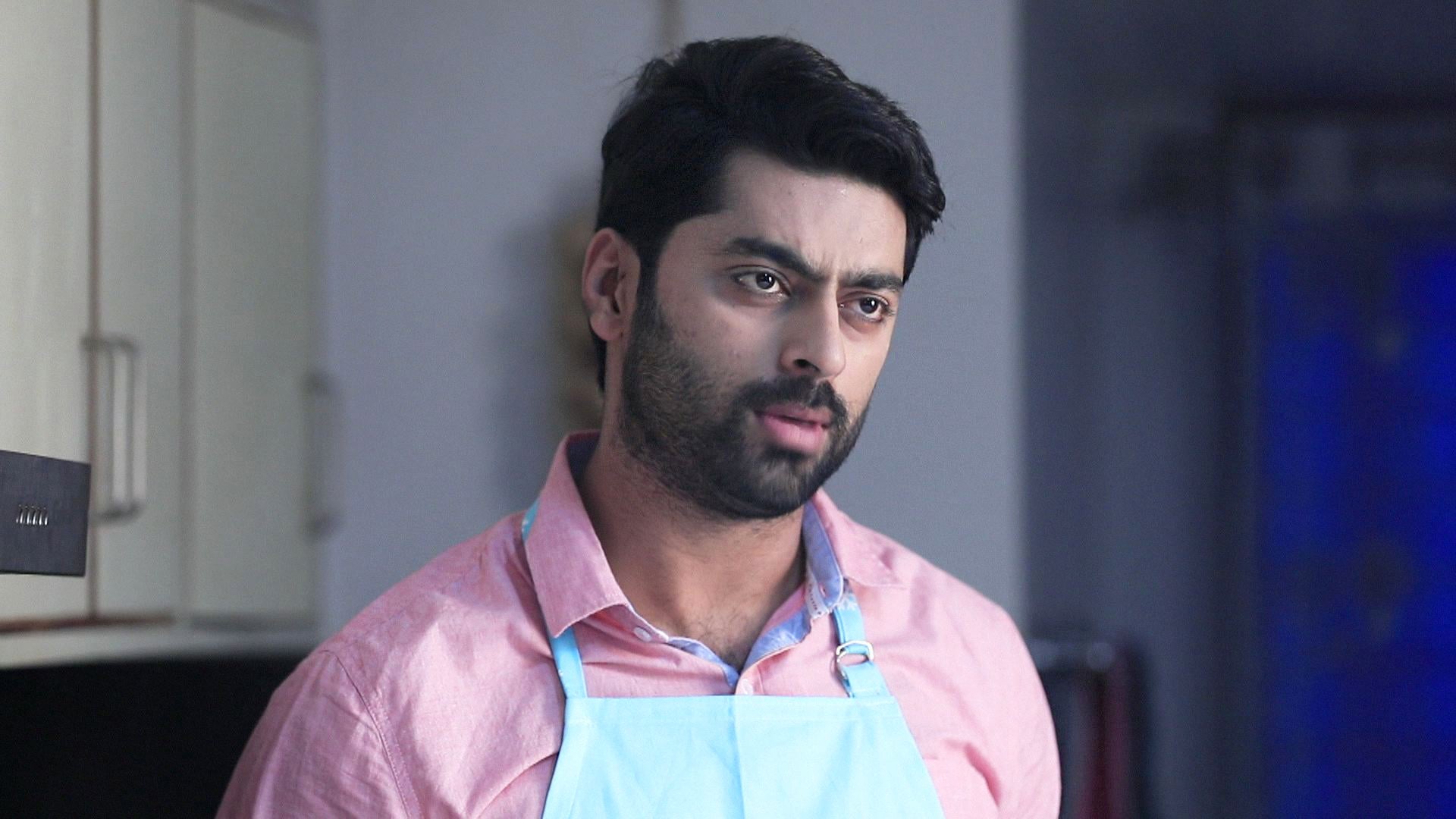 Watch Raja Rani Season 1 Episode 173 : Omkar Becomes A Chef - Watch ...