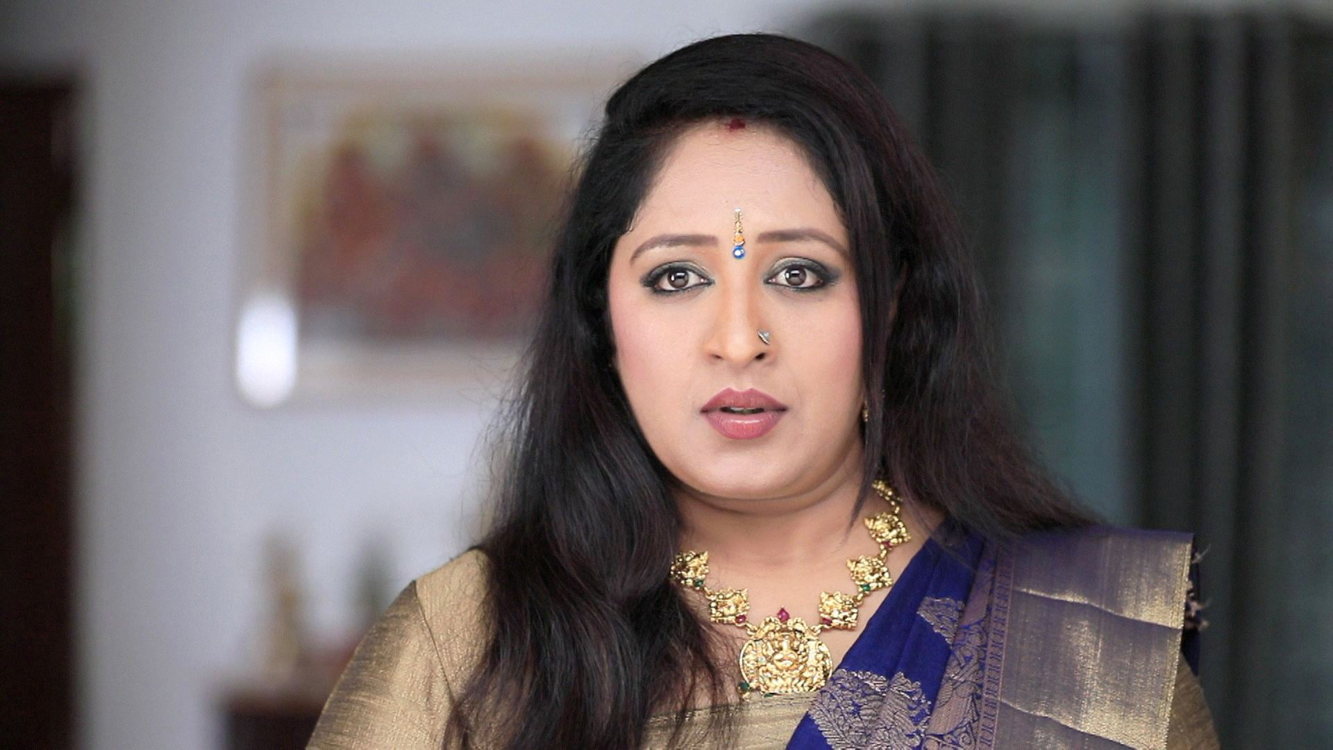Watch Raja Rani Season 1 Episode 63 : Damini's Plan Backfires - Watch ...