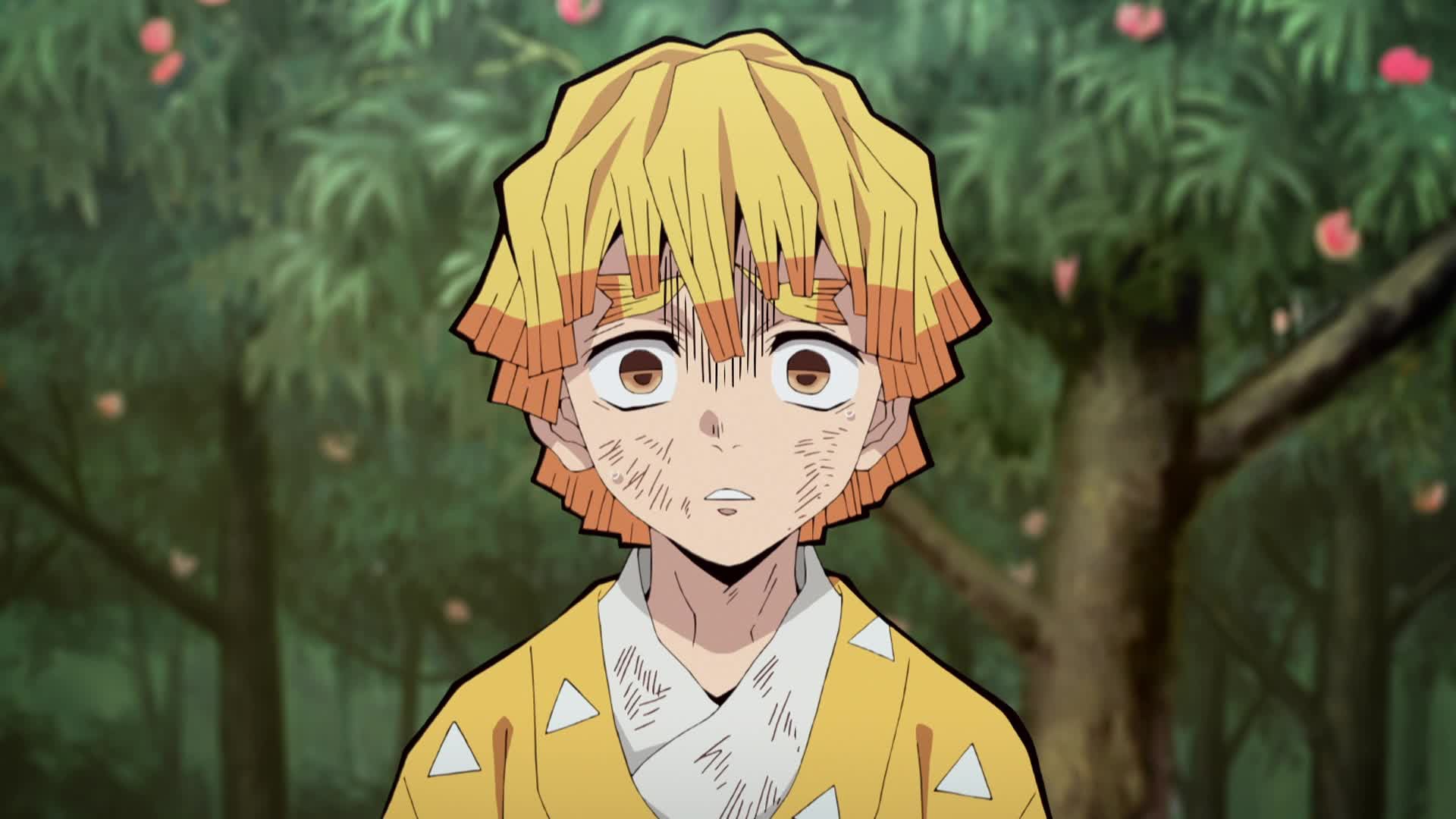 Watch Demon Slayer: Kimetsu No Yaiba Season 1 Episode 17 : You Must ...