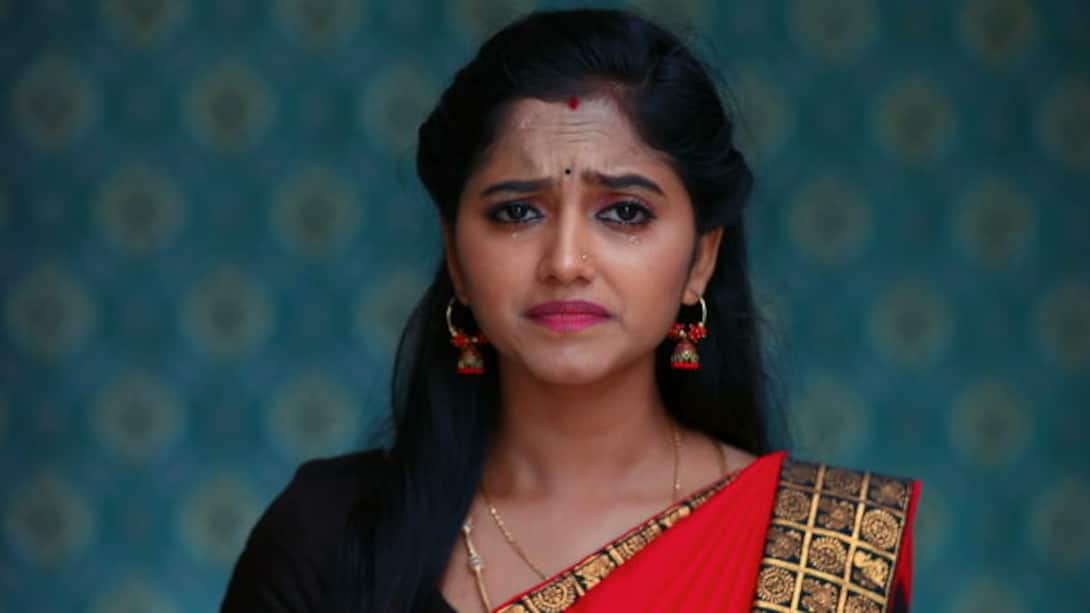 Watch Idhayathai Thirudathey Season 1 Episode 591 : Kayal Reveals The ...