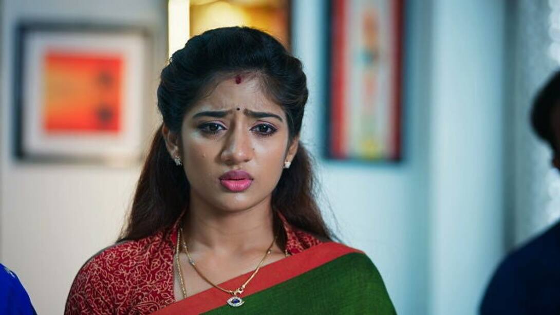 Watch Idhayathai Thirudathey Season 1 Episode 1088 : Sahana Suspects Ramachandran - Watch Full ...