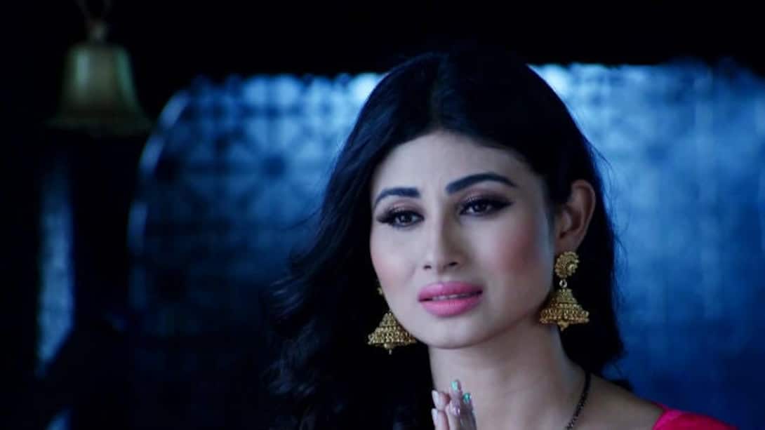 Watch Shivanya's Wish Gets Fulfilled Video Online(HD) On JioCinema