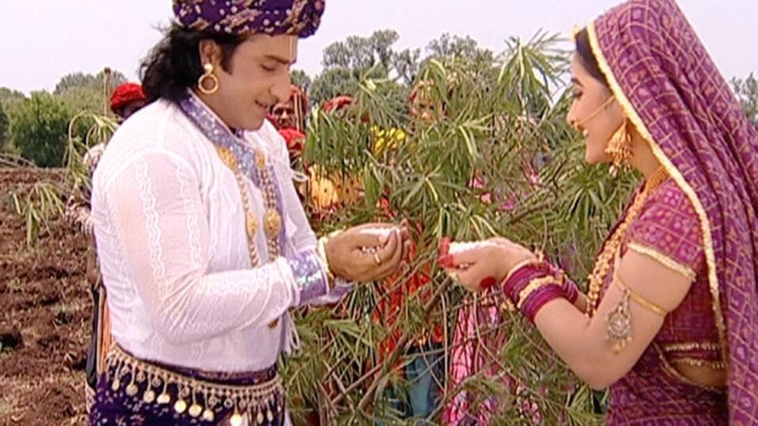 Watch Jai Shri Krishna Season 1 Episode 177 : Krishna's Tree Of Pearls ...