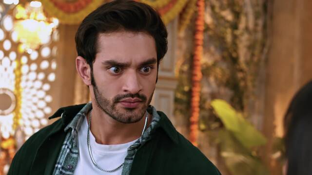 Apollena Web Series (2024) | Release Date, Review, Cast, Trailer, Watch ...