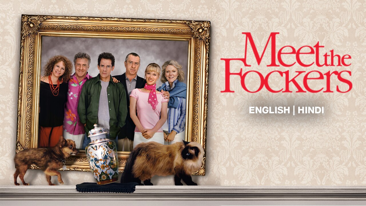 Movies Like Meet The Fockers